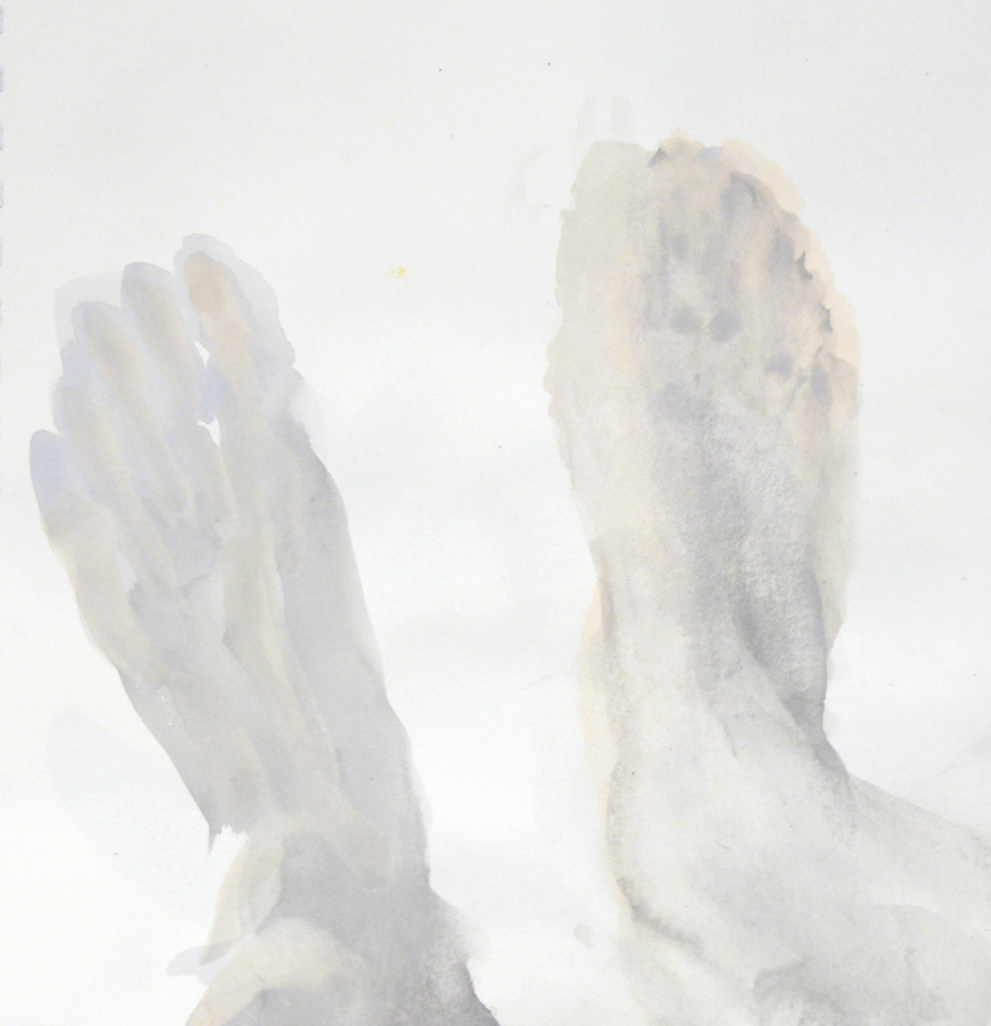 feet | Robert Achtemichuk